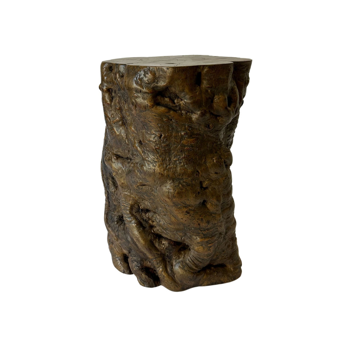 Burl Wood Spot Table - C - SHOP by Interior Archaeology